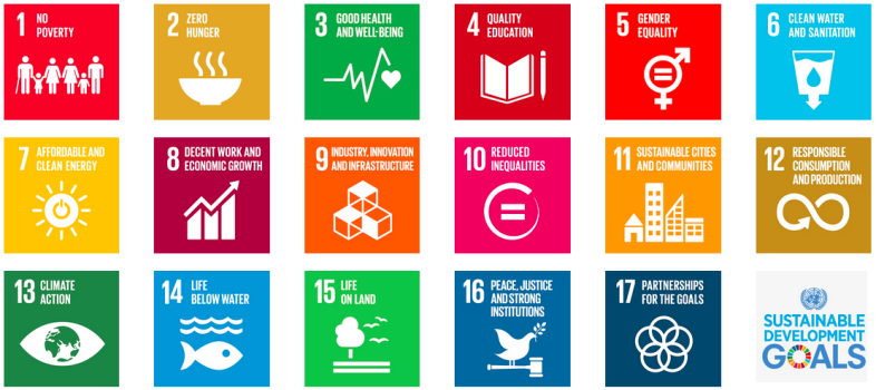 The UN Shifts from 8 MDGS to 17 SDGs: Now What? - Asymmetrica